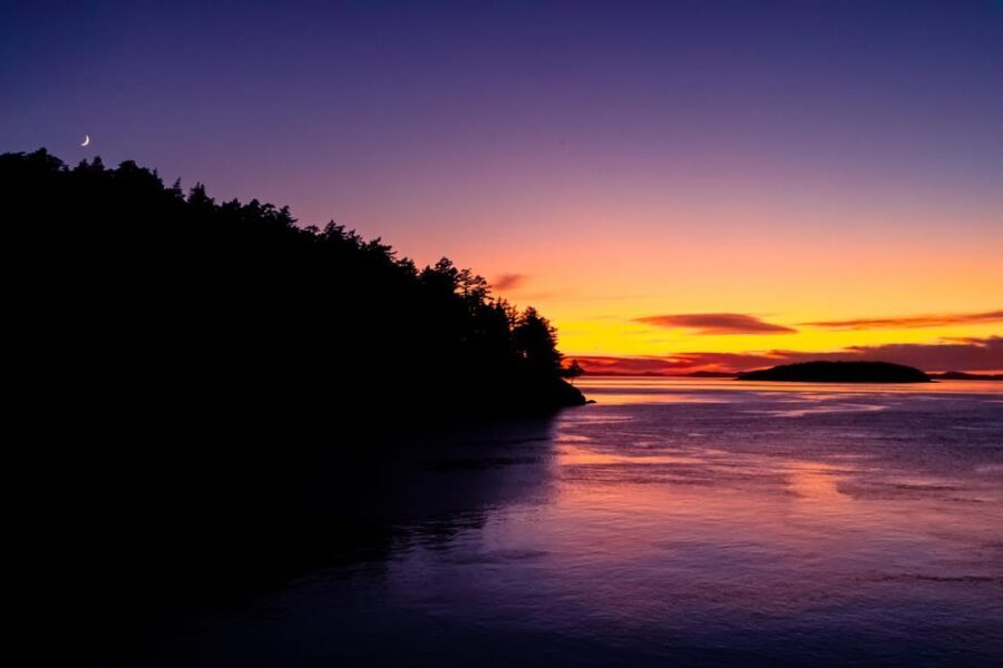 Bioluminescence Night Paddle - An Introduction to the Bioluminescence Night Paddle