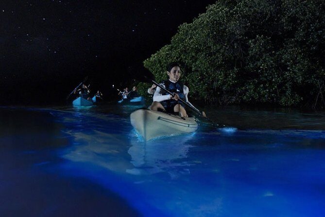 Bioluminescent Kayak Tour by THE #1 Rated Company in Cocoa Beach - Why This Tour Is Worth Considering