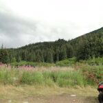 Bird Creek: Chugach State Park ATV Nature Tour & Hike - Discovering the Thrill and Beauty of Chugach State Park
