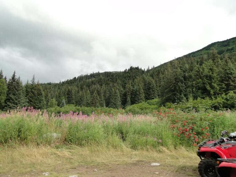 Bird Creek: Chugach State Park ATV Nature Tour & Hike - Discovering the Thrill and Beauty of Chugach State Park