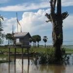 Bird Watching at Tonle Saps Inundated Forest - The Itinerary: What You Will Experience