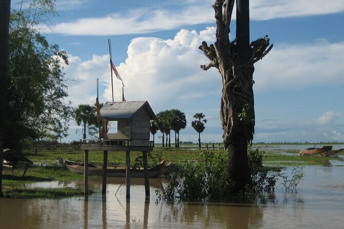 Bird Watching at Tonle Saps Inundated Forest - The Itinerary: What You Will Experience
