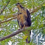Bird watching in La Mancha - Who Will Love This Tour?