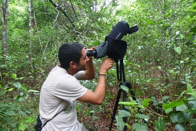 Bird Watching in Sian Ka´an Muyil - Frequently Asked Questions