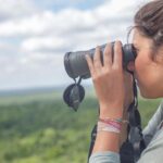 Birdwatching at The Mayan Cities with certified guide - What to Expect from the Birdwatching Experience