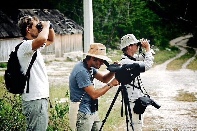 Birdwatching in Sian Ka´an Muyil from Tulum - Shared Group Tour - Final Thoughts: Is This Tour Right for You?