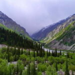 Bishkek: Ala Archa National Reserve Half-Day Tour with Hike - Key Points