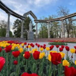 Bishkek Street Art & Kyrgyz Nomadic History (Walks & Talks) - The Sum Up: Is This Tour Right for You?