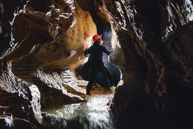 Black Abyss: Ultimate Waitomo Caving - Private Tour from Auckland - Assessing the Value