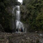 BLACK SAND PIHA BEACH, Maori Arts, Water Falls West Auckland Tour - The Itinerary Breakdown