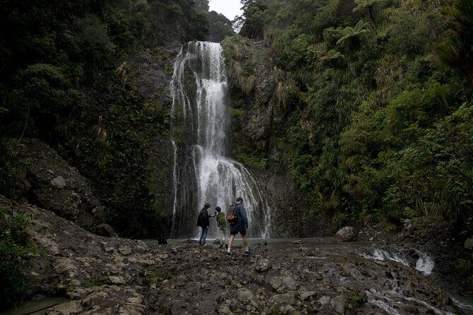 BLACK SAND PIHA BEACH, Maori Arts, Water Falls West Auckland Tour - The Itinerary Breakdown