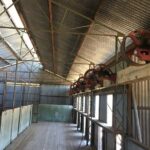 Bladensburg National Park Half Day Tour - What the Reviews Say