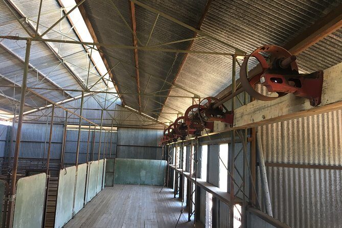 Bladensburg National Park Half Day Tour - What the Reviews Say