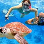 Blow Lagoon Bali Snorkeling and see Bali Bats Cave Temple - Analyzing the Value and Practicalities