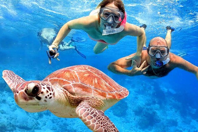 Blow Lagoon Bali Snorkeling and see Bali Bats Cave Temple - Analyzing the Value and Practicalities