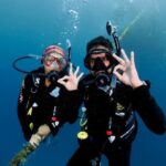 Blue Dive Private Guided Scuba Dive Cairns - Pricing and Value