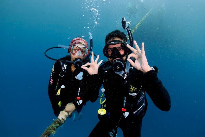 Blue Dive Private Guided Scuba Dive Cairns - Pricing and Value