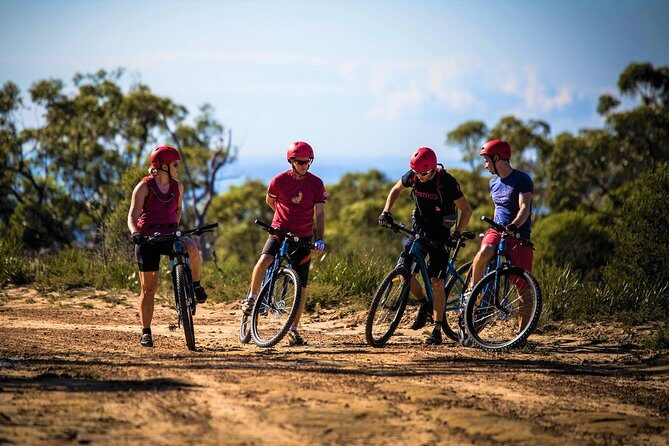 Blue Labyrinth PRIVATE Tour: Sydney Blue Mountains by E-Bike - The Itinerary and Experience in Detail