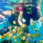 Blue lagoon and tanjung jepun snorkling all inclusive - Tukad Cepung Waterfall: Jungle and Waterfall Magic