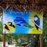BLUE LAGOON | eco-tour | private island inside | White sand - Authentic Experiences and What You’ll Take Away