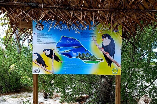 BLUE LAGOON | eco-tour | private island inside | White sand - Authentic Experiences and What You’ll Take Away
