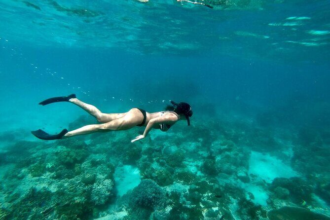 Blue Lagoon Snorkeling and Lunch with Tukad Cepung Waterfall - What Does the Tour Include — and What Not?