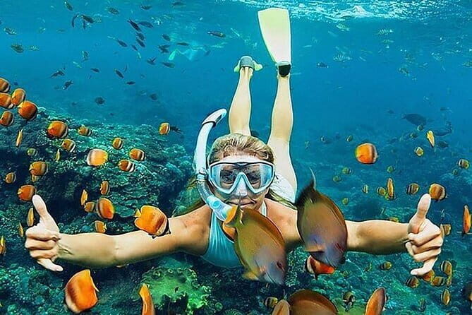 Blue Lagoon Snorkeling and Lunch with Visit Waterfall in Ubud - Why This Tour Works Well for Travelers