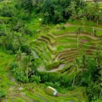 Blue Lagoon Snorkeling and Ubud Waterfall Tour - Incorporating Local Touches and Practical Details
