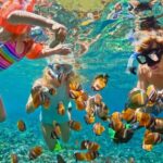 Blue Lagoon Snorkeling - Cave Waterfall - And More - All Included + FREE Wi-Fi - Detailed Breakdown of the Itinerary