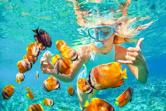 Blue Lagoon Snorkling activities - The Experience in Practice: What Travelers Are Saying