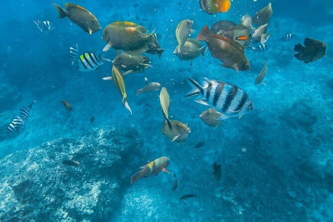 Blue Lagoon & Tanjung Jepun snorkeling with Kanto Lampo WaterFall and Monkey bar - The Practicalities and Worthiness of the Tour