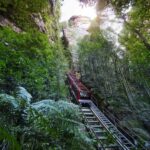 Blue Mountain: Small-Group Tour with Lunch & Scenic World - What Sets this Tour Apart?
