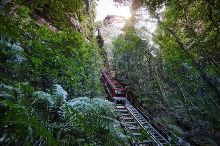 Blue Mountain: Small-Group Tour with Lunch & Scenic World - What Sets this Tour Apart?