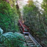 Blue Mountains Adventure: Scenic World, Zoo & Koala Photo - The Value Proposition & Price Analysis