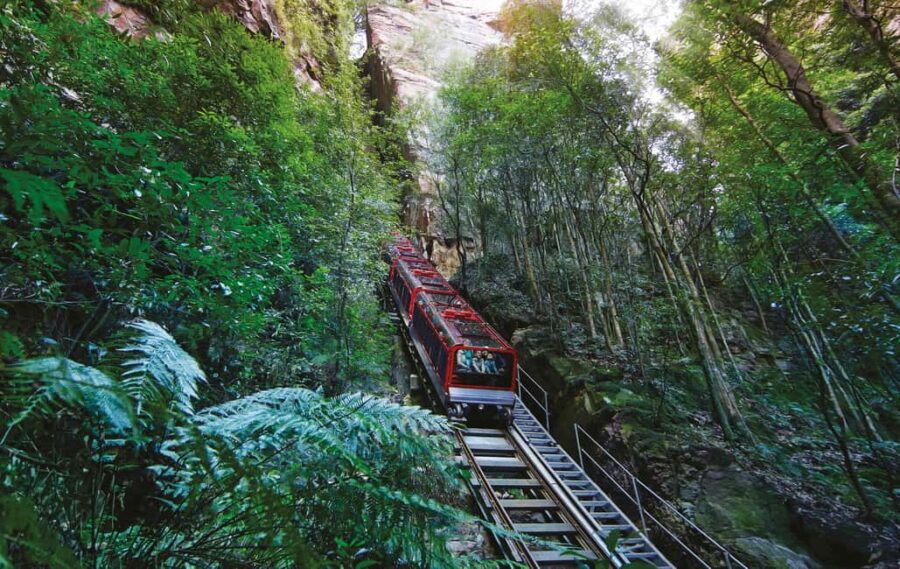 Blue Mountains Adventure: Scenic World, Zoo & Koala Photo - The Value Proposition & Price Analysis