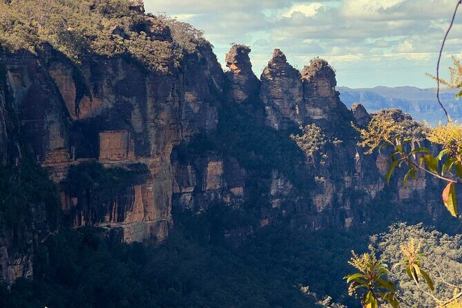 Blue Mountains and Australian Native Animals - Introduction: What to Expect from This Blue Mountains Adventure