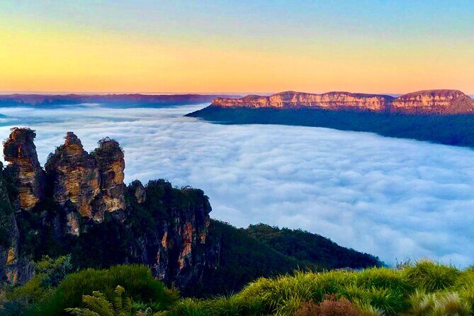 Blue Mountains Day, Sunset Tour & Glow Worms Night Adventure - Authentic Feedback from Travelers