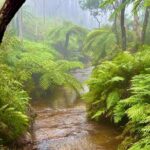 Blue Mountains Day Tours W Scenic World and Lunch - An In-Depth Look at the Tour Experience
