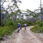 Blue Mountains Electric Bike Tour with Transport - In-Depth Look at the Itinerary