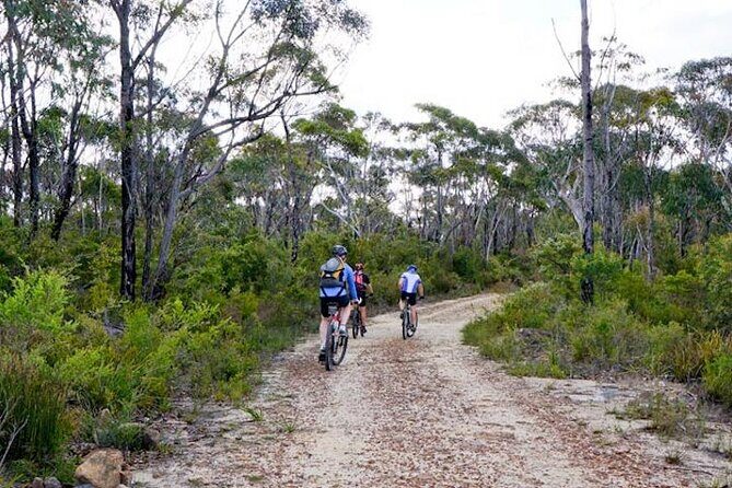 Blue Mountains Electric Bike Tour with Transport - In-Depth Look at the Itinerary