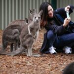 Blue Mountains Exclusive Private Tour - Practical Details and What to Expect