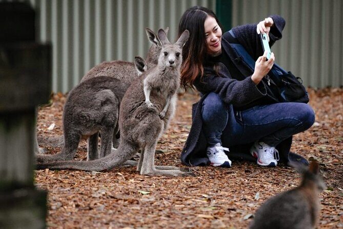 Blue Mountains Exclusive Private Tour - Practical Details and What to Expect