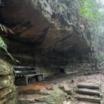 Blue Mountains Experience: Explore & Discover Majestic Landscapes - What Travelers Say