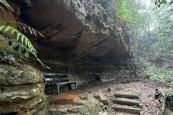 Blue Mountains Experience: Explore & Discover Majestic Landscapes - What Travelers Say