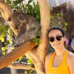 Blue Mountains Express includes Three Sisters Hiking Option - Walking Through the Itinerary