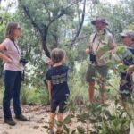Blue Mountains: Inside a World Heritage National Park - Does It Offer Value?