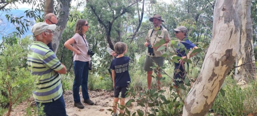Blue Mountains: Inside a World Heritage National Park - Does It Offer Value?