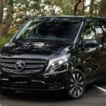 Blue Mountains | Koalas, Kangaroos & Bondi Beach Private Tour - Authentic Experiences From Travelers