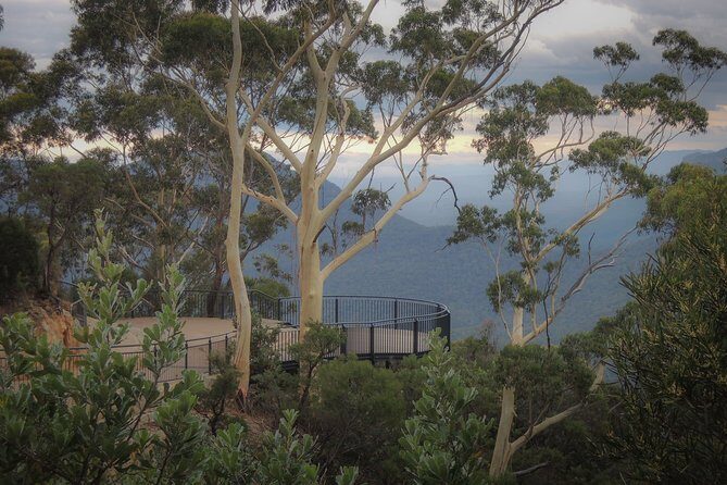 Blue Mountains Private Charter - Detailed Breakdown of the Itinerary