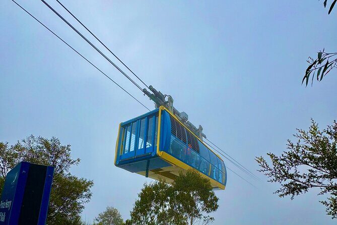 Blue Mountains Private Sightseeing Day Tours from Sydney - Final Thoughts